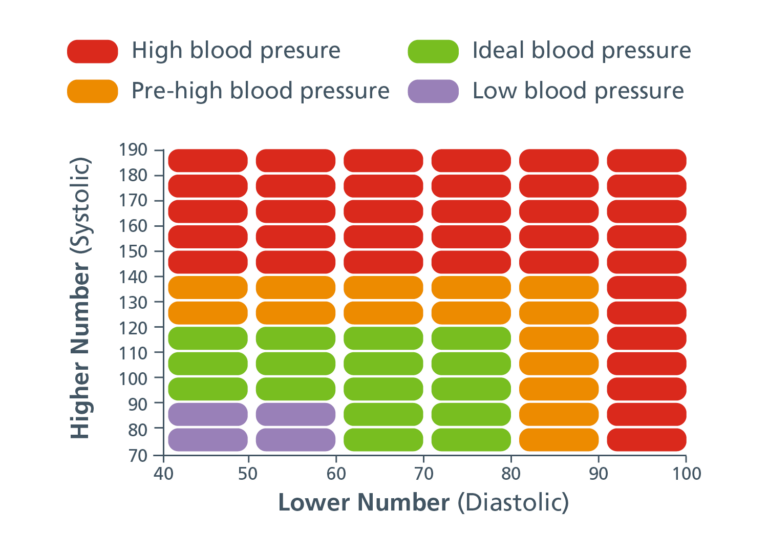 Blood pressure - Our Somerset